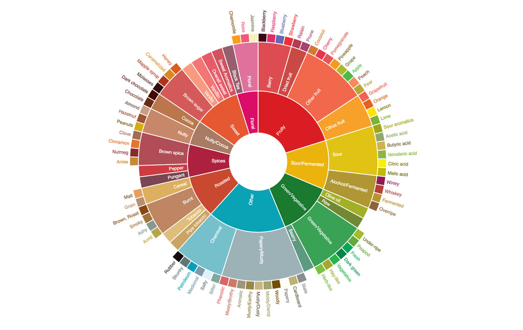 Das wichtigste Werkzeug fur Kaffeekenner Das SCA Flavor Wheel SIMON BEARNS Coffee Roasters